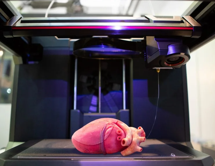 Engineering Synthetic Organs Through 3D Bioprinting for Transplantation ...