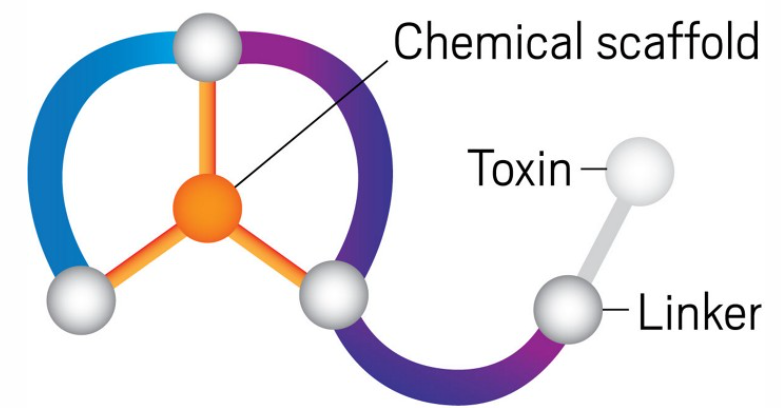 Scientists Develop New Class of Medicinal Drugs - ScienceChronicle Scientists Develop New Class of Medicinal Drugs - ScienceChronicle